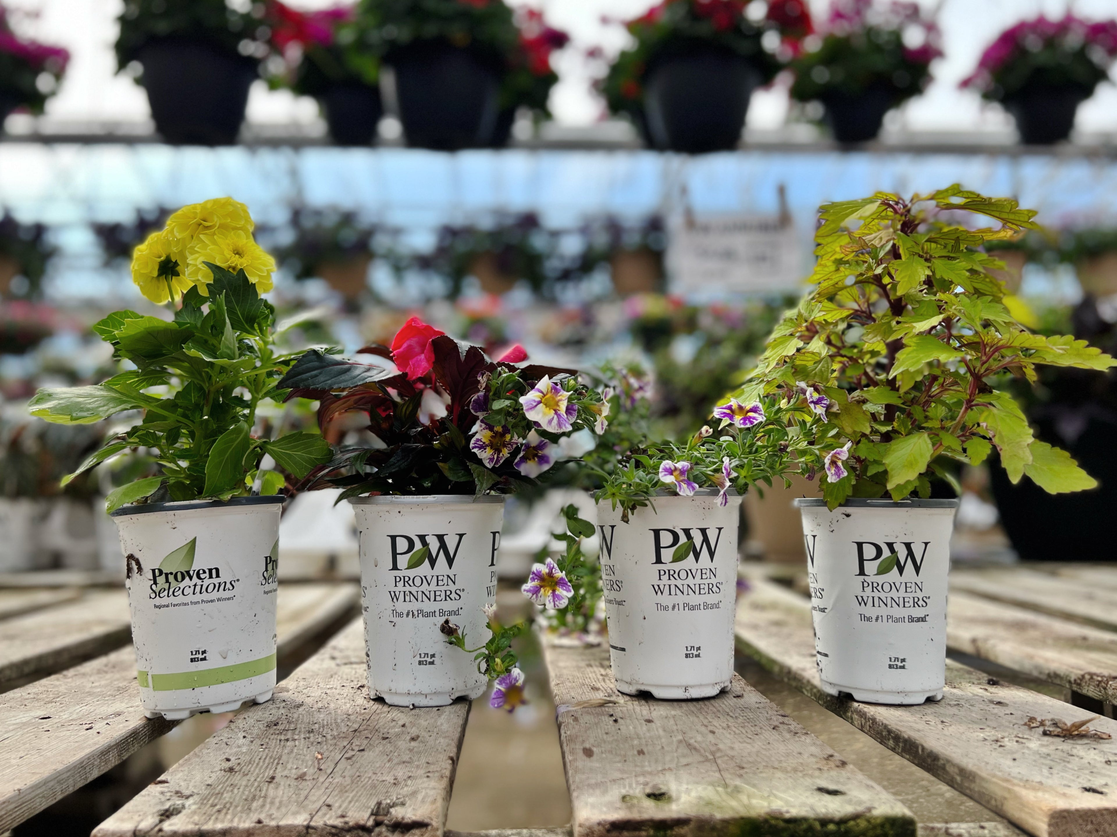 Jade Gardens and Greenhouses