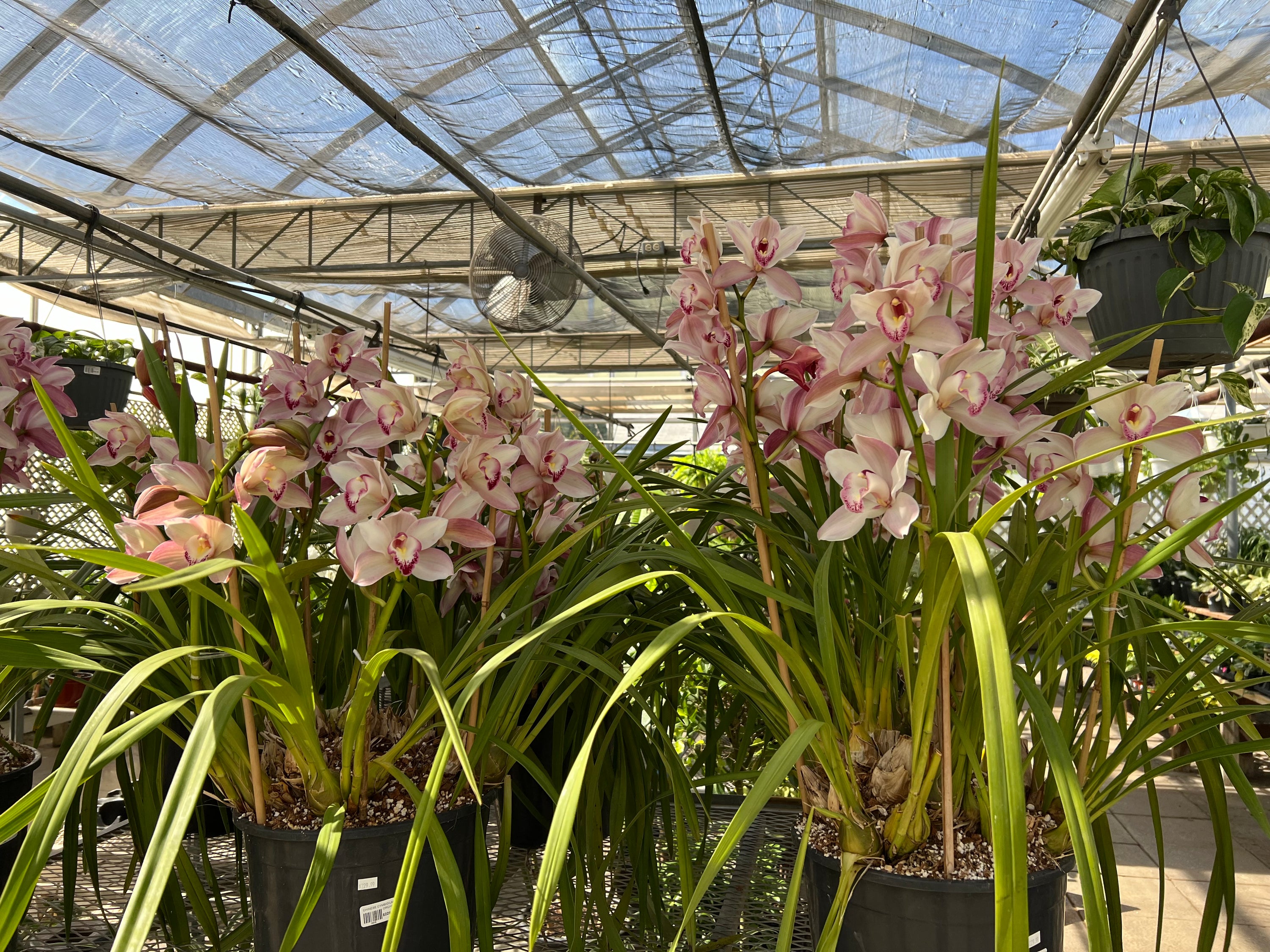 Jade Gardens and Greenhouses